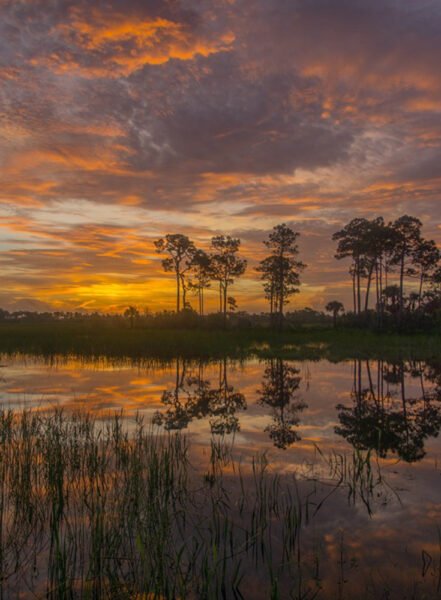 Everglades National Park | Things To Do in the Everglades